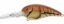 SPRO Mike McClelland RkCrawler 55 Crankbait- Mud Bug | Durhams Tackle